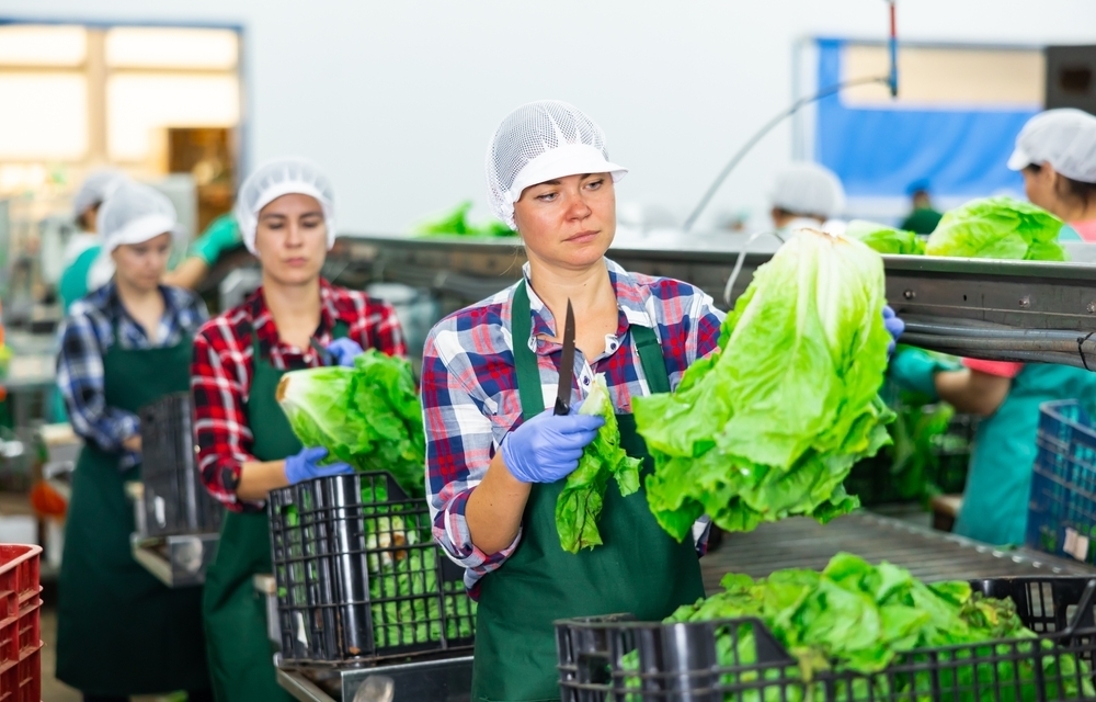 CAREERLINK FACTORY CO., LTD. | JOBS in JAPAN－[Saitama, | Guidable Jobs